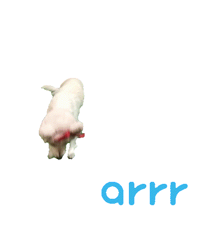 아르르 Sticker by arrr_official for iOS & Android | GIPHY