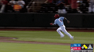 Springfield Cardinals GIFs on GIPHY - Be Animated
