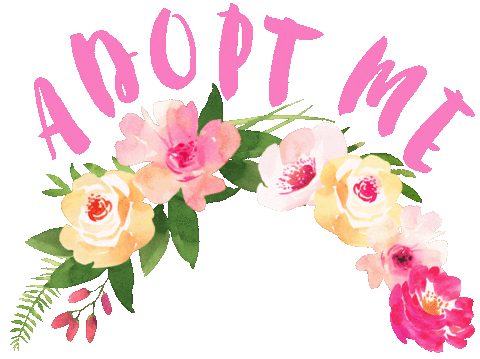 Apprehend Clipart Flowers