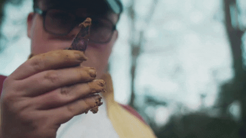 Crypt Monster Universe GIFs - Get the best GIF on GIPHY