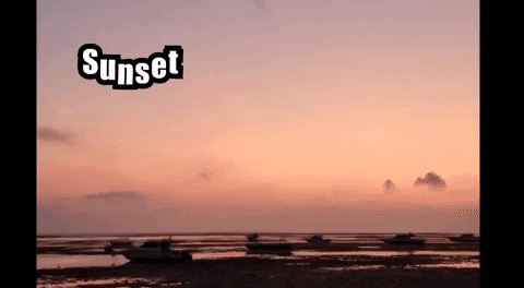 Buro Veer GIFs on GIPHY - Be Animated