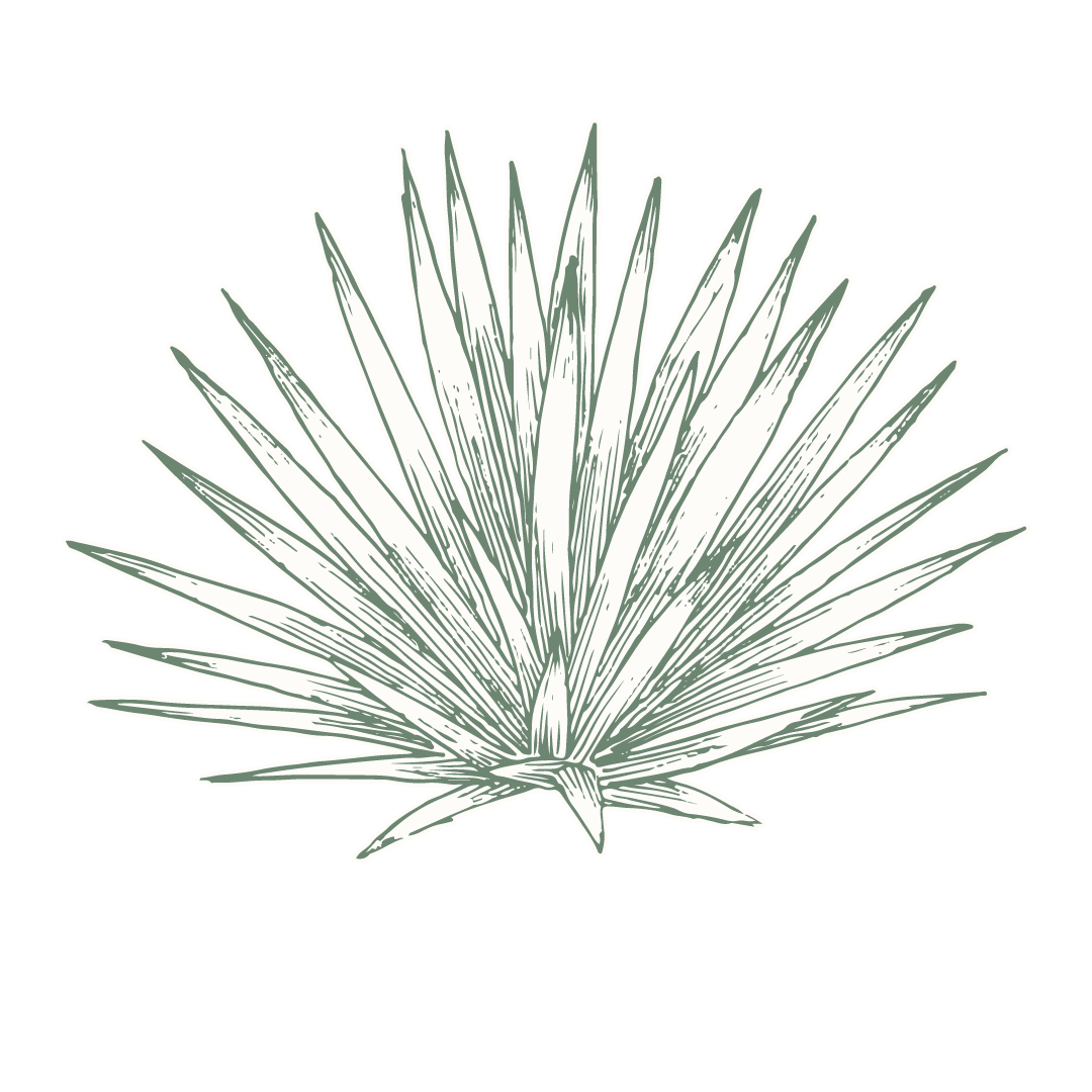 Santa Sabia GIFs on GIPHY - Be Animated