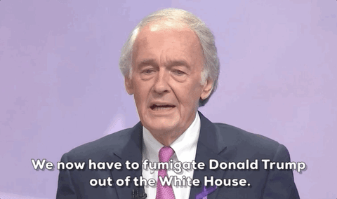 Ed Markey GIF by Election 2020 - Find & Share on GIPHY