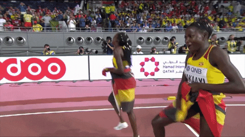 Hamad GIFs - Get the best GIF on GIPHY