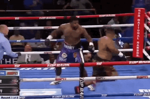 Fight Boxing GIFs - Get the best GIF on GIPHY