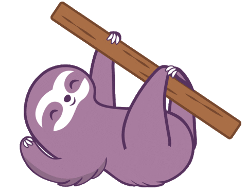 Deal With It Sloth Gif