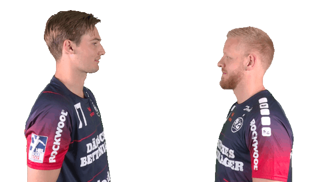 Handball-Bundesliga Handshake Sticker by LIQUI MOLY HBL for iOS ...