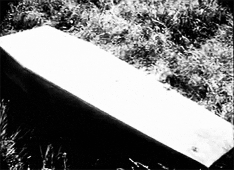 Morbid Death GIF by hoppip - Find & Share on GIPHY