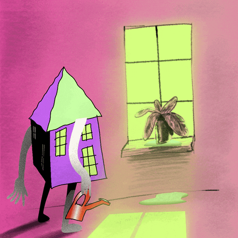 Homestay GIFs - Get the best GIF on GIPHY