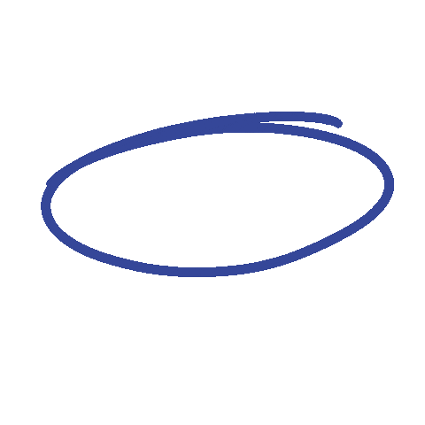 Blue Circle Outline