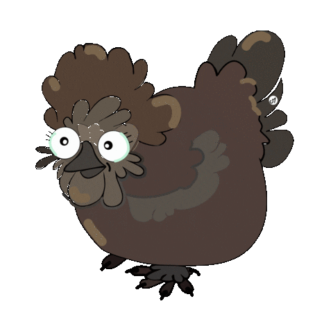 Chickens Sticker for iOS & Android | GIPHY