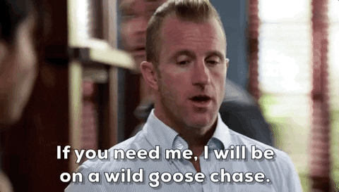 Goose Chase GIFs - Get the best GIF on GIPHY