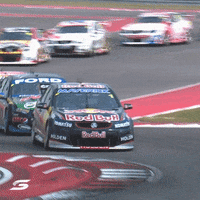 V8 Supercars Usa GIF by Supercars Championship - Find & Share on GIPHY