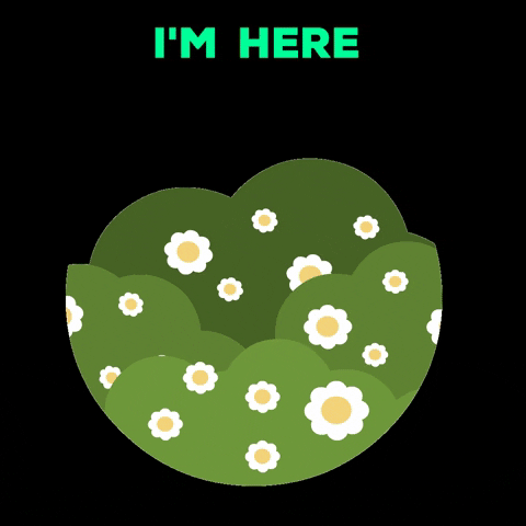 Bear-hiding GIFs - Get the best GIF on GIPHY
