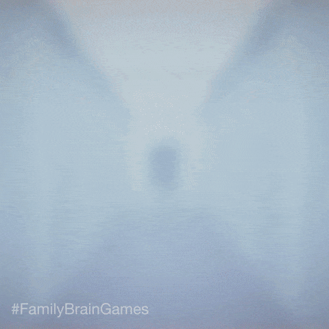 Family Brain Games GIF by Level Theory - Find & Share on GIPHY