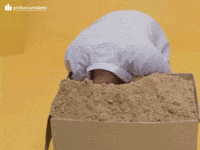 Ostrich Head In Sand Gif