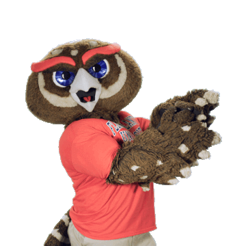 Fau Owlsley Sticker by Florida Atlantic University for iOS & Android ...