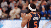 New York Knicks GIFs on GIPHY - Be Animated