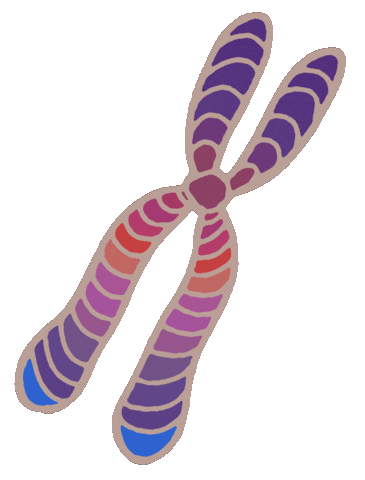 Dna Biology Sticker for iOS & Android | GIPHY
