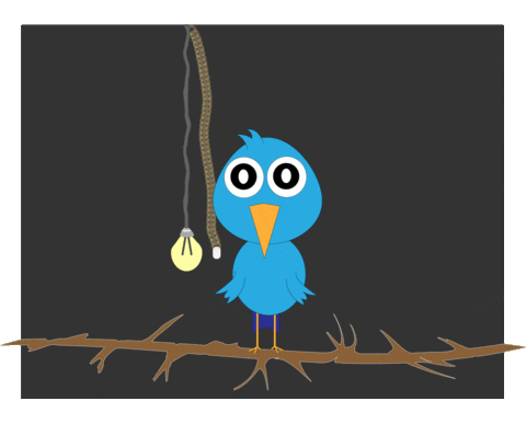 Birds Birding GIF by U.S. Fish and Wildlife Service - Find & Share on GIPHY