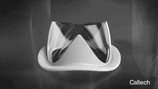 Heartvalve GIFs - Get the best GIF on GIPHY