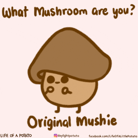 Mushie GIFs - Get the best GIF on GIPHY