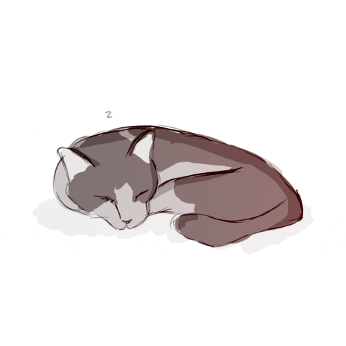 Sleeping Cat Animated
