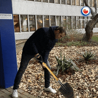 Ijs Scheppen Gif Vleermuizen In Schouwburg Nu Pas Ontdekt, Hoe Kán