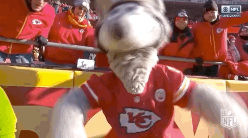 Nfl-playoffs-2019 GIFs - Get the best GIF on GIPHY