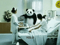 Panda Smashing Computer Gif