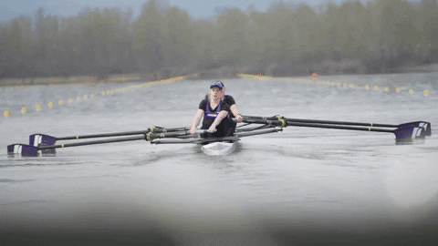 Rowing GIFs on GIPHY - Be Animated