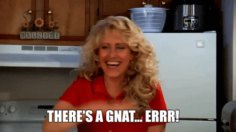 Bug-swatting GIFs - Get the best GIF on GIPHY