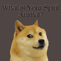 What is your spirit animal? by Memes | GIPHY