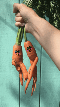Animated Carrot Gif
