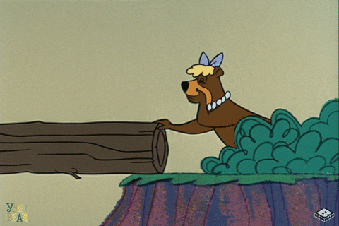 Yogi Bear GIFs on GIPHY - Be Animated