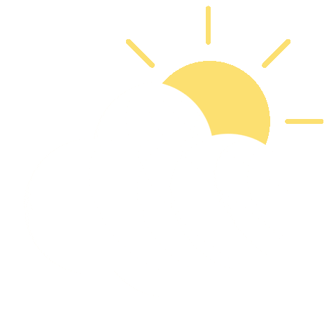 Dos and don'ts of defrosting you windscreen - and defogging your car ...