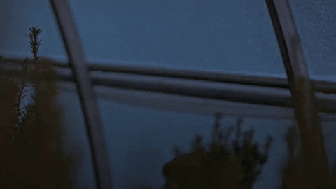 Smirk Reaction GIF by Hallmark Movies & Mysteries - Find & Share on GIPHY