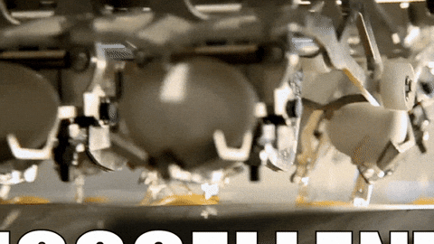 Eggcellent GIFs - Get the best GIF on GIPHY