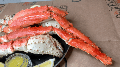 Crablegs GIFs - Get the best GIF on GIPHY