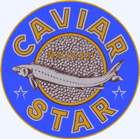 Caviar Star GIFs on GIPHY - Be Animated