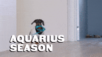 Zodiac-aquarius GIFs - Get the best GIF on GIPHY