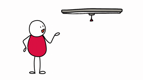 Presenteren GIFs - Get the best GIF on GIPHY