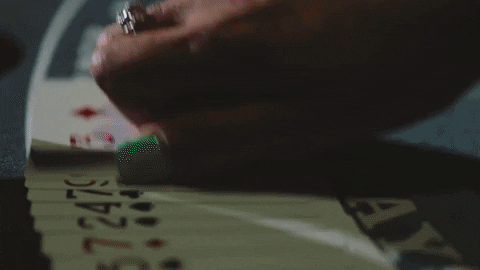 Gamble GIF by Switzerfilm - Find & Share on GIPHY