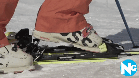 Ski Skiing GIF by skinewgen - Find & Share on GIPHY