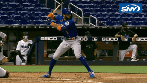 New York Mets Baseball GIF by SNY - Find & Share on GIPHY