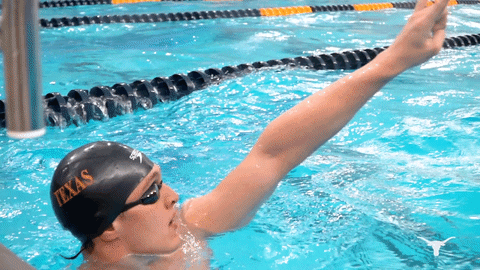 Diving Swimming GIF by Texas Longhorns - Find & Share on GIPHY