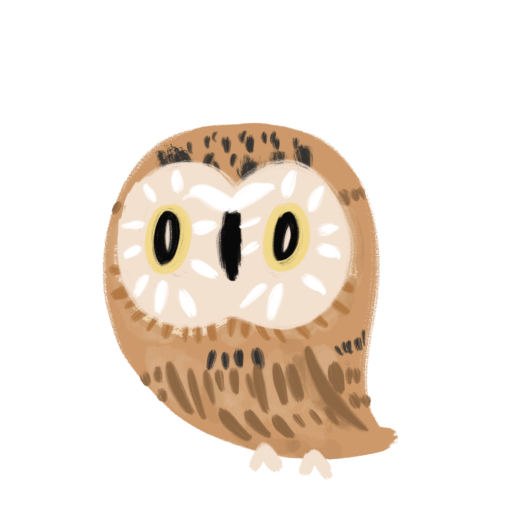 Owl Sticker for iOS & Android | GIPHY