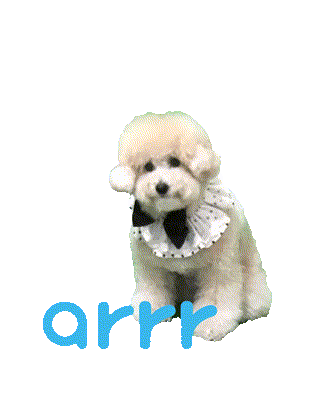 아르르 Sticker by arrr_official for iOS & Android | GIPHY