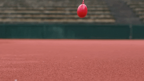 Eggdrop GIFs - Get the best GIF on GIPHY