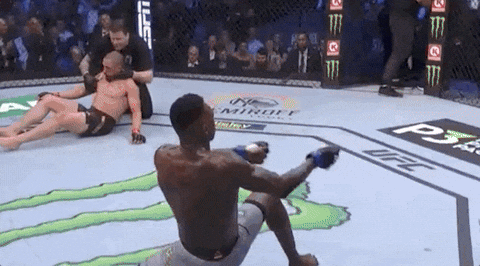 Ufc243 GIFs - Get the best GIF on GIPHY